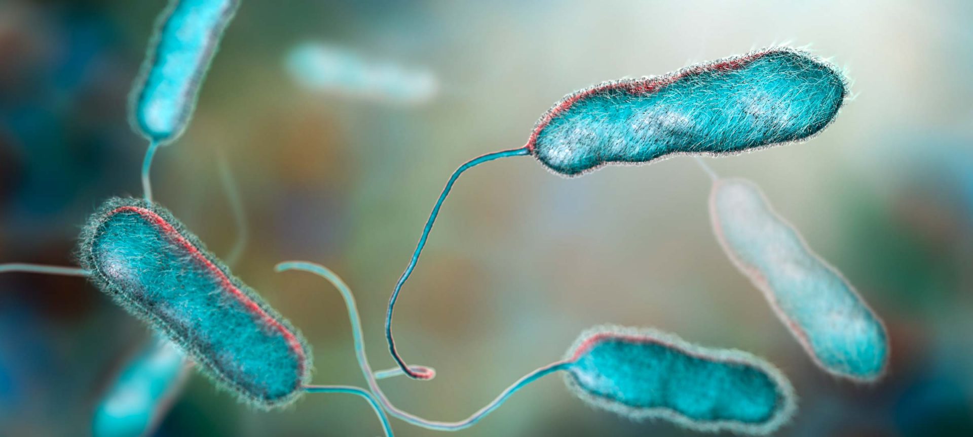Legionella Prevention for Buildings