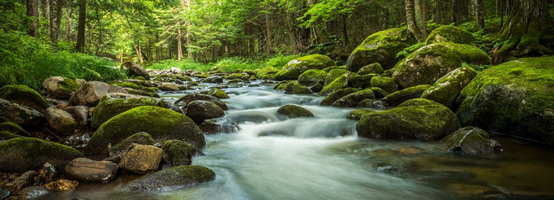 Lowering Energy Costs and Emissions For Residential Buildings